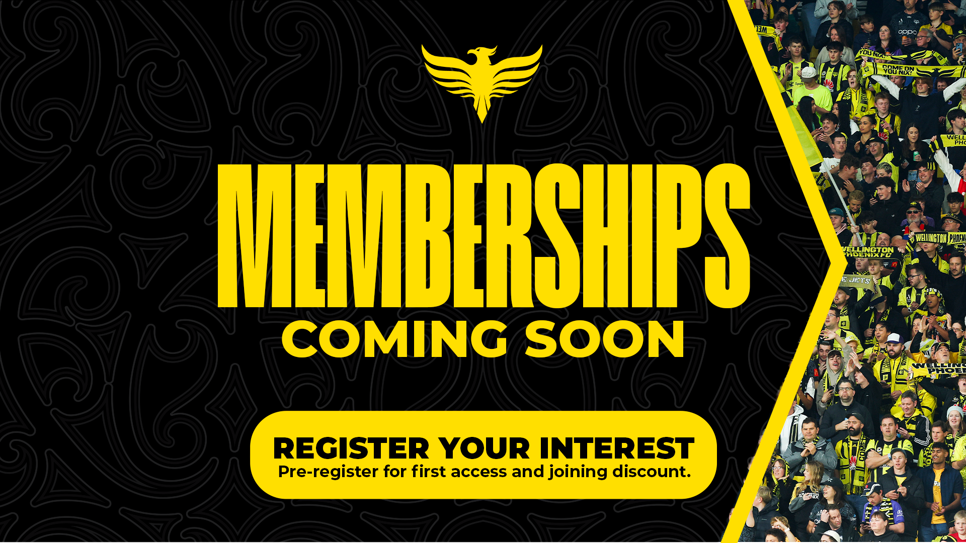 Wellington Phoenix FC | Official Wellington Phoenix Home Page