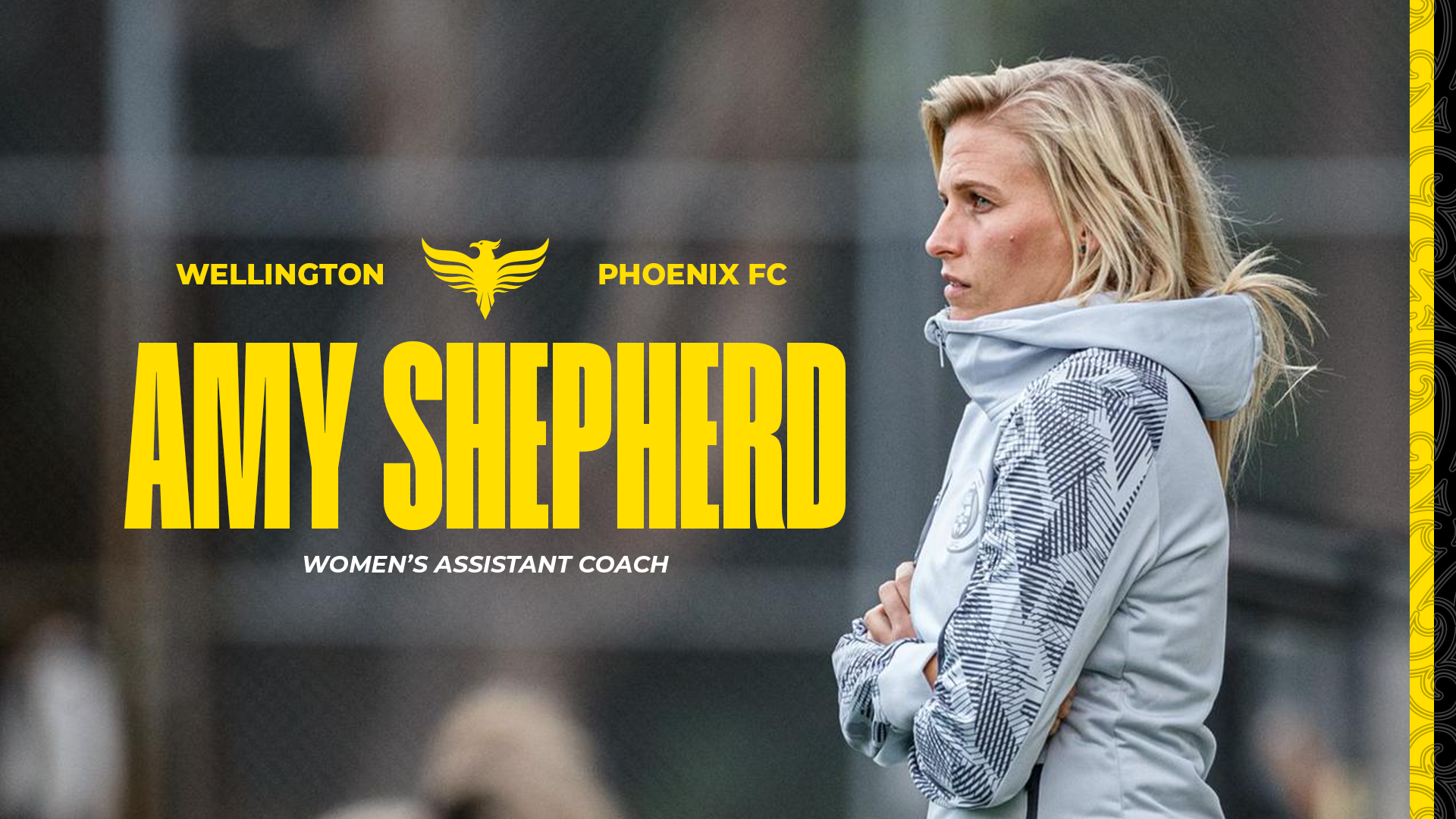 Wellington Phoenix FC News & Updates | A-League