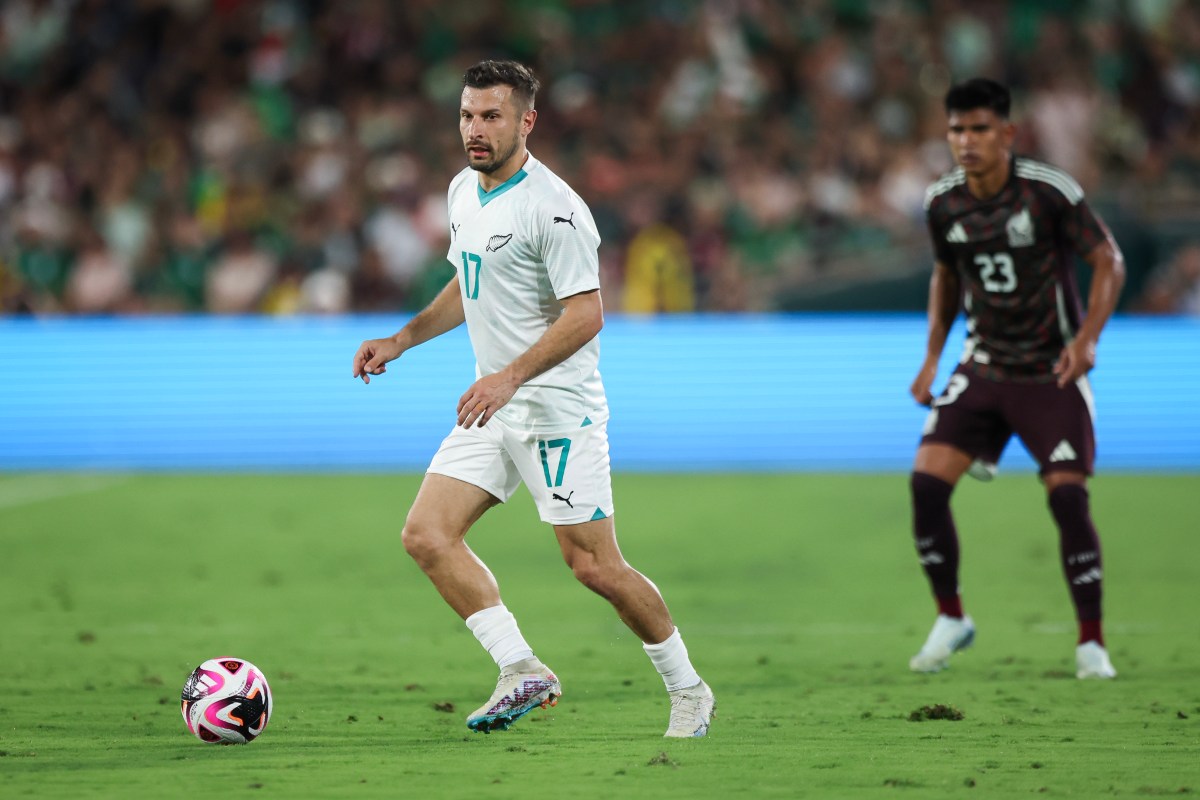 Wellington Phoenix FC News & Updates | A-League