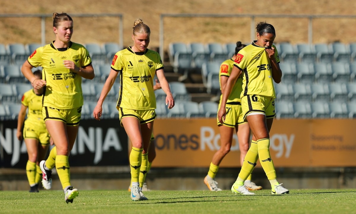 Ninja A-League Round 11 Match Review - Wellington Phoenix