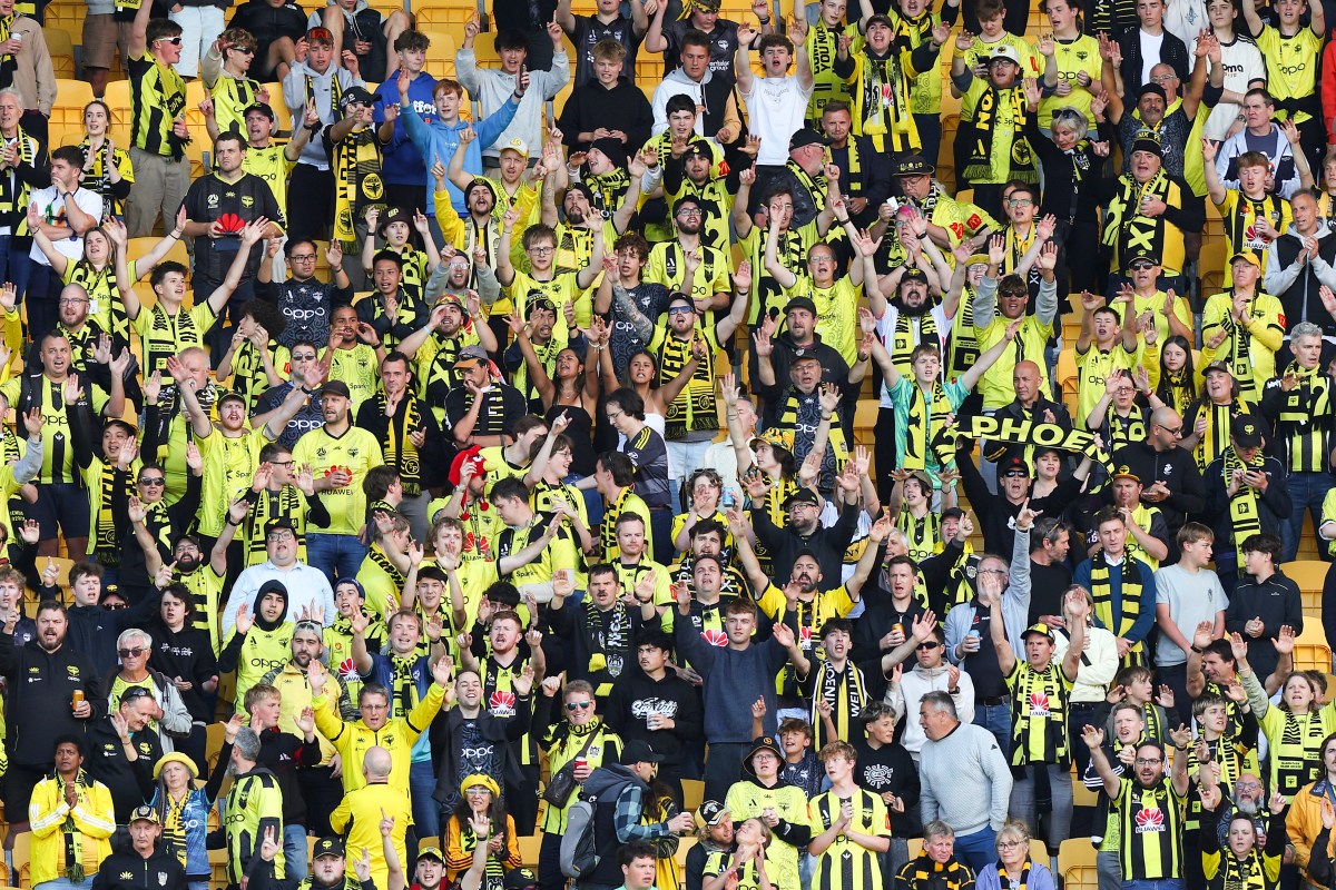 Isuzu UTE A-League Round 14 Match Review - Wellington Phoenix