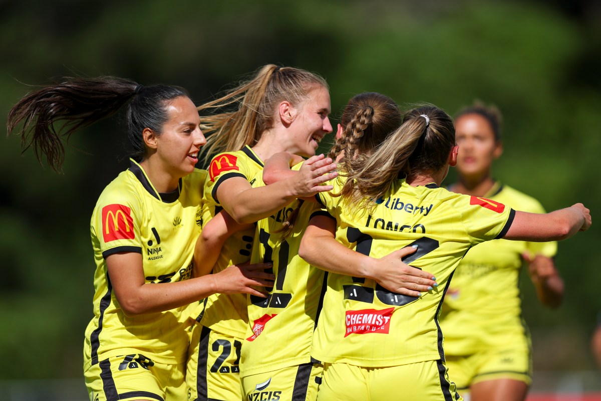 Ninja A-League Round 12 Match Review - Wellington Phoenix