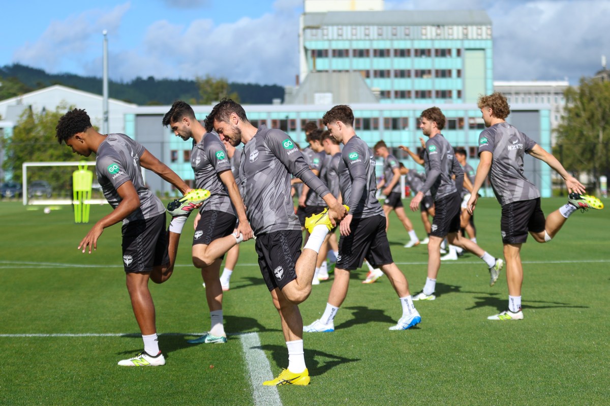 Isuzu UTE A-League Round 20 Match Preview - Wellington Phoenix