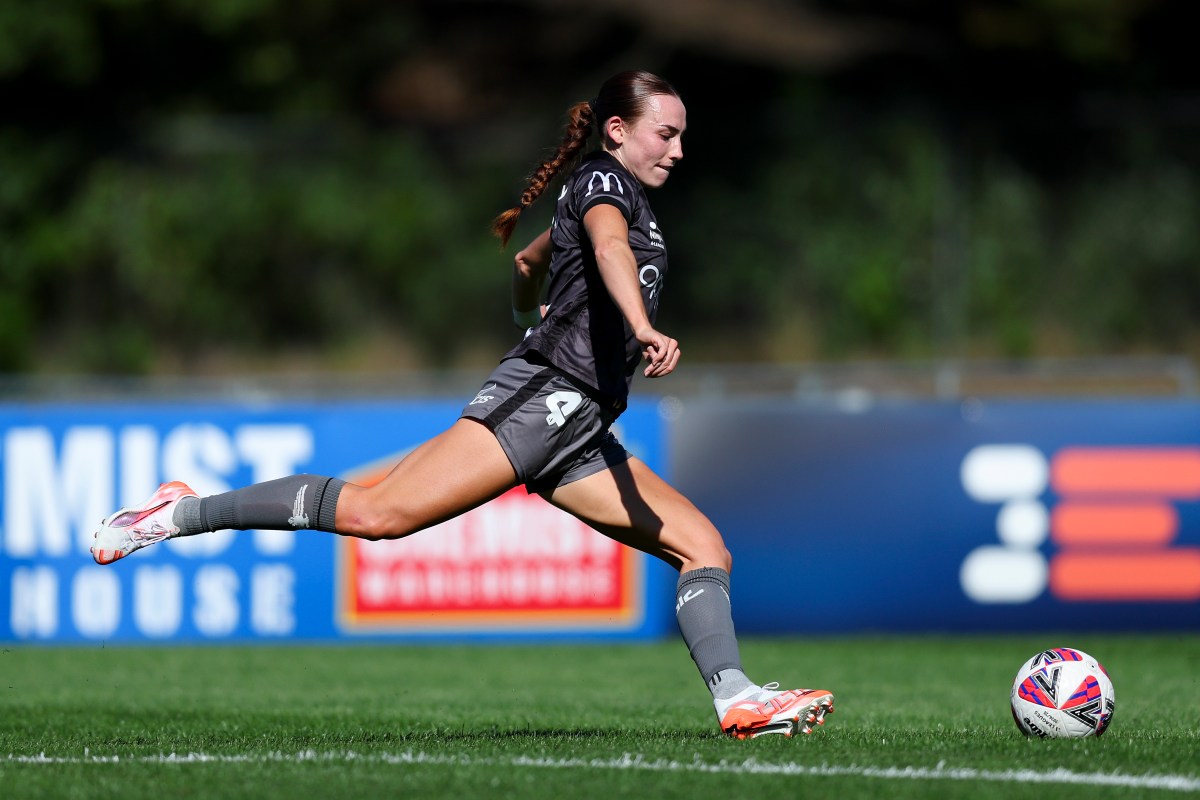 Ninja A-League Round 15 Match Review - Wellington Phoenix