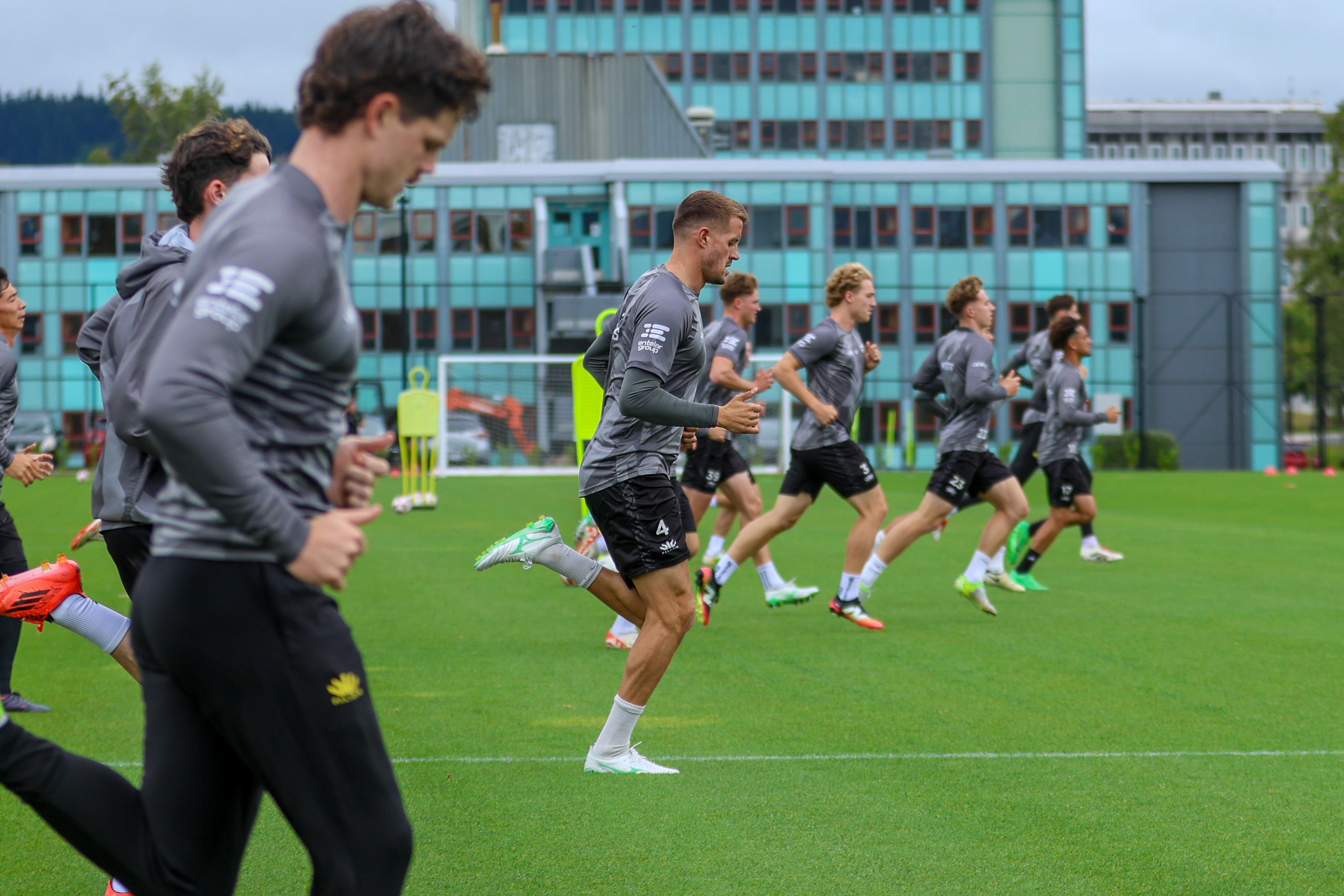 Isuzu UTE A-League Round 18 Match Preview - Wellington Phoenix