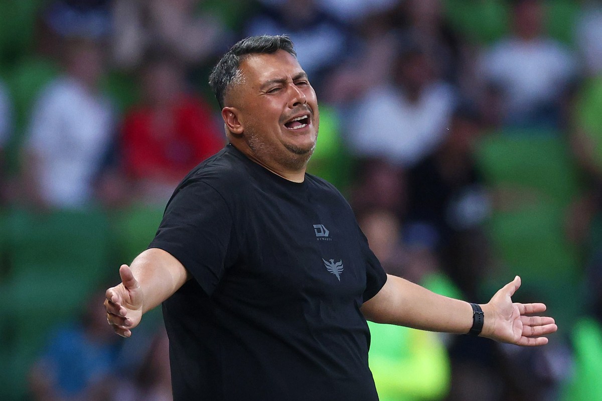 Isuzu UTE A-League Round 10 Match Review - Wellington Phoenix