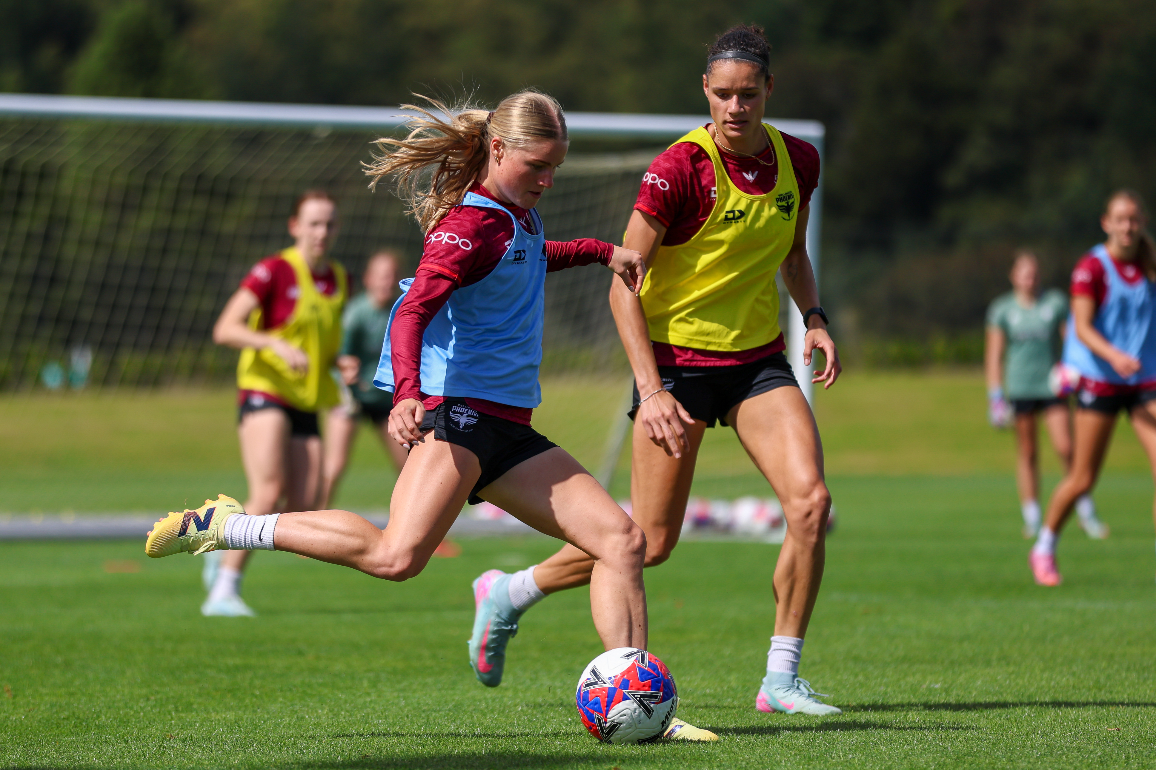 Ninja A-League Round 15 Match Preview - Wellington Phoenix