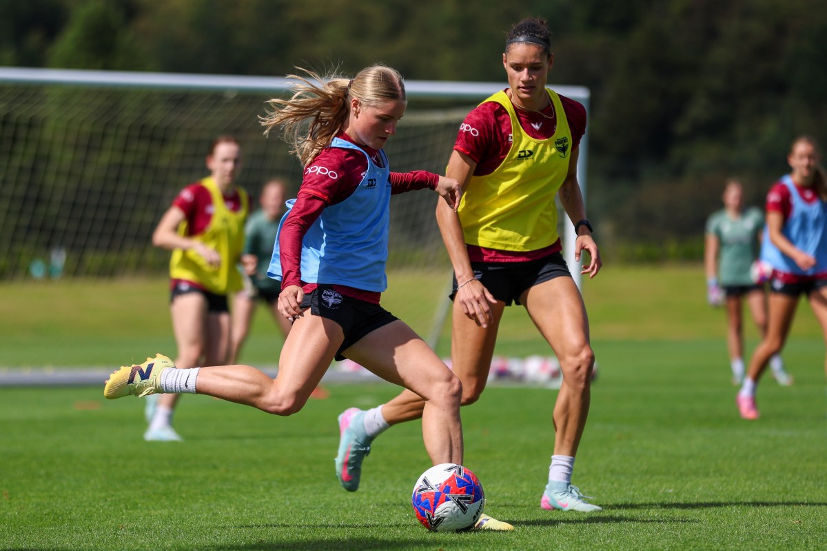 Ninja A-League Round 15 Match Preview - Wellington Phoenix