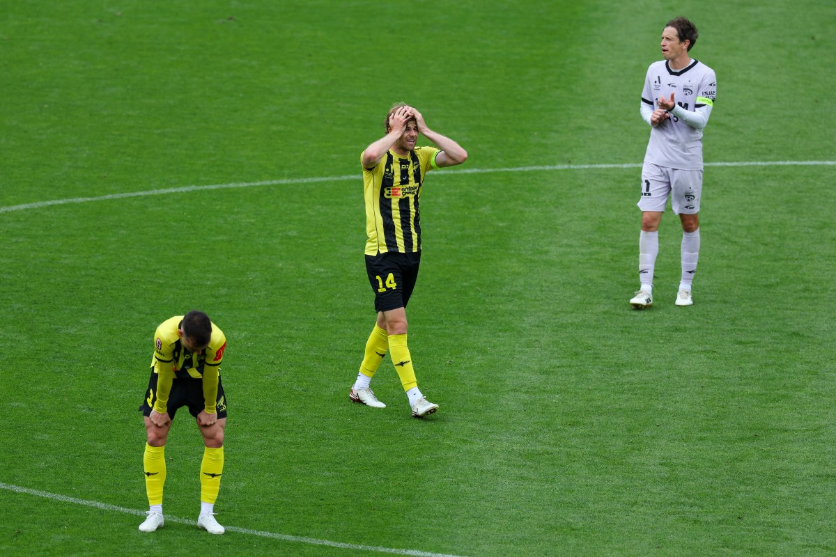 Isuzu UTE A-League Round 12 Match Review - Wellington Phoenix