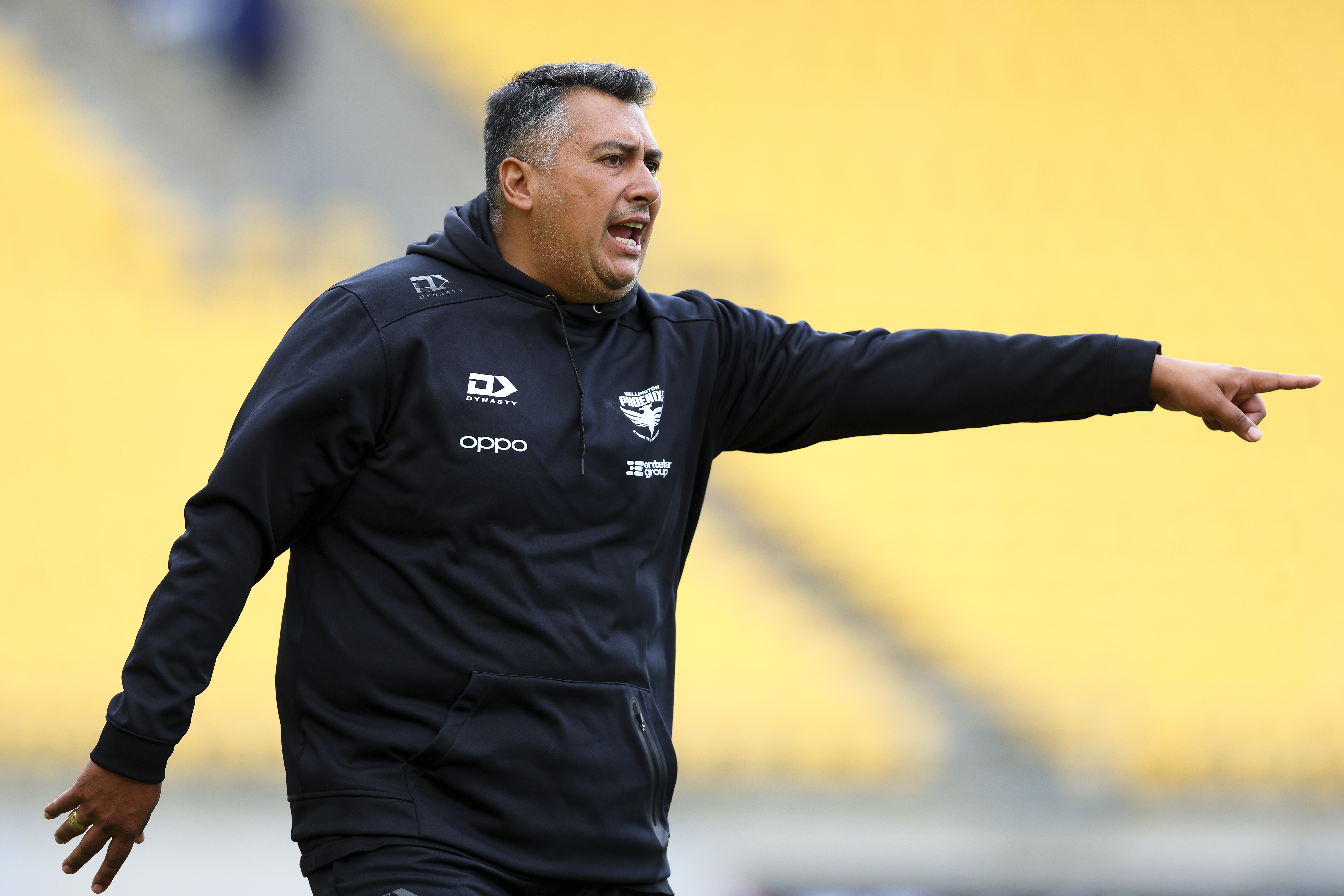 Isuzu UTE A-League Round 15 Match Preview - Wellington Phoenix