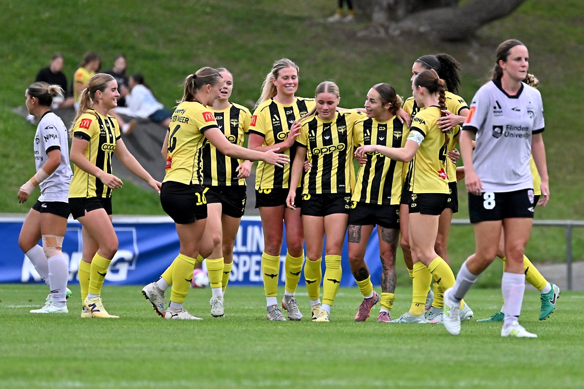 Ninja A-League Round 14 Match Review - Wellington Phoenix