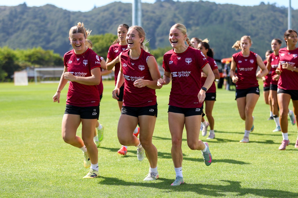 Ninja A-League Round 13 Match Preview - Wellington Phoenix